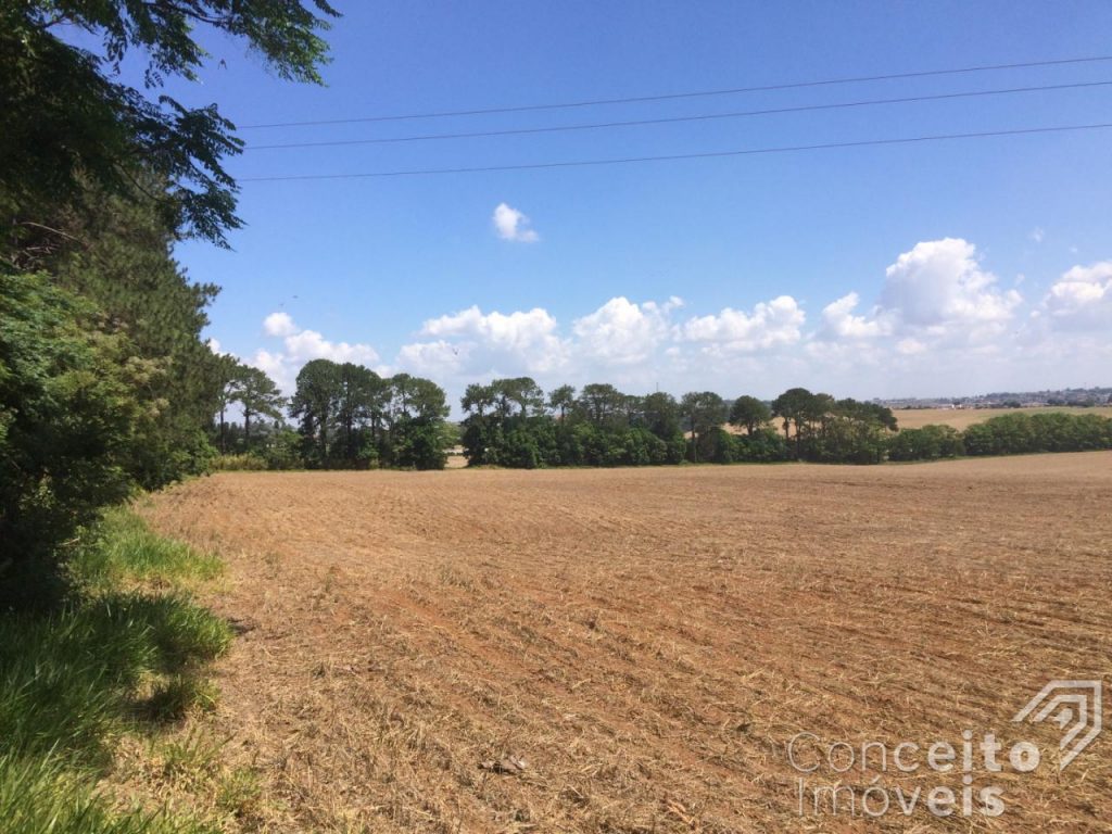 4 motivos para você comprar um terreno - Blog Conceito Imóveis